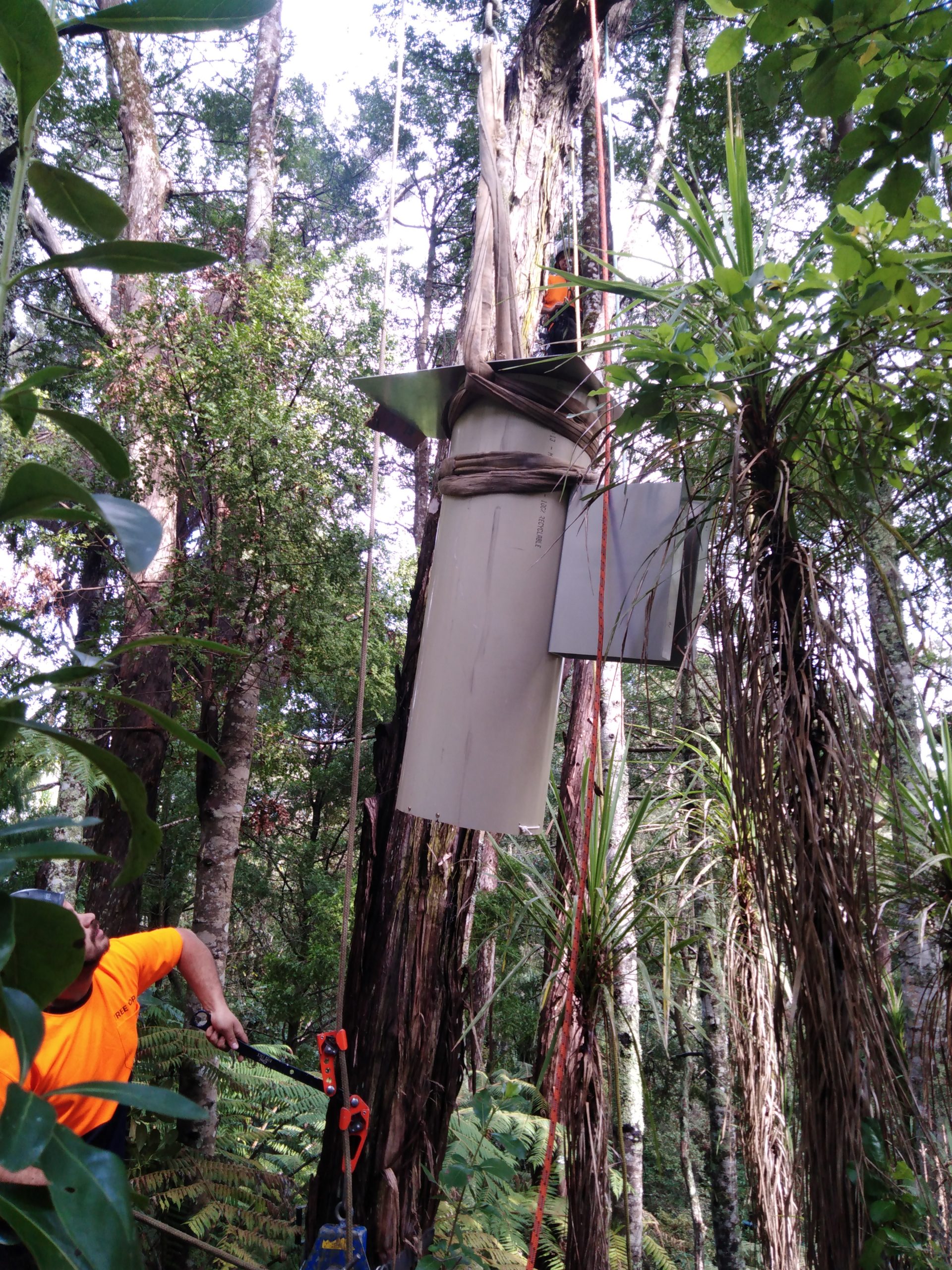 Kākā nesting box project with PFK - Rakino Island